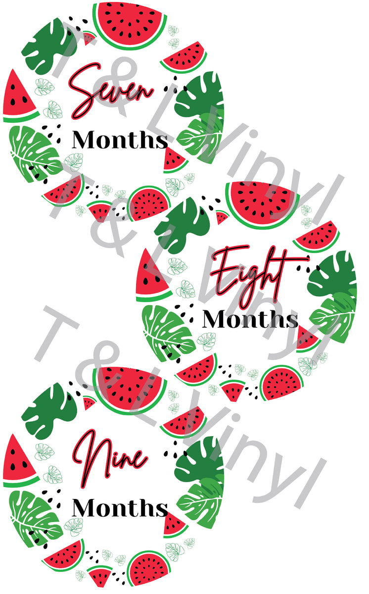 Watermelon Milestone Sublimation Sheet 384 (Perfect for our acrylic Mi ...