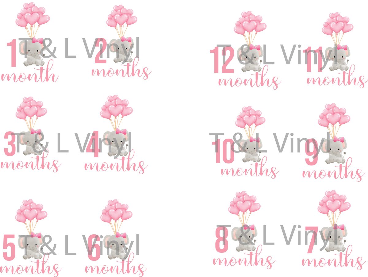 928 Pink Milestone Sublimation to fit our balloon Acrylic milestone di ...