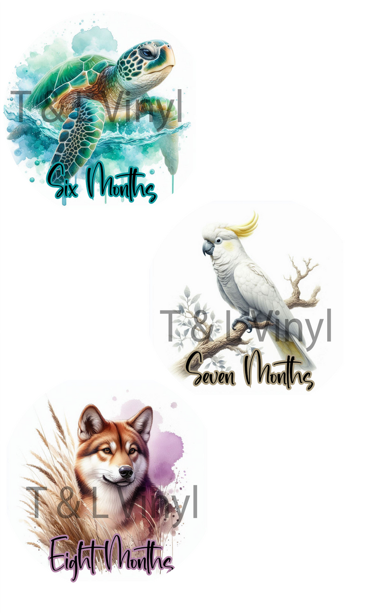 1011 Australian Animal Milestone Disc Sublimation prints – T & L Vinyl