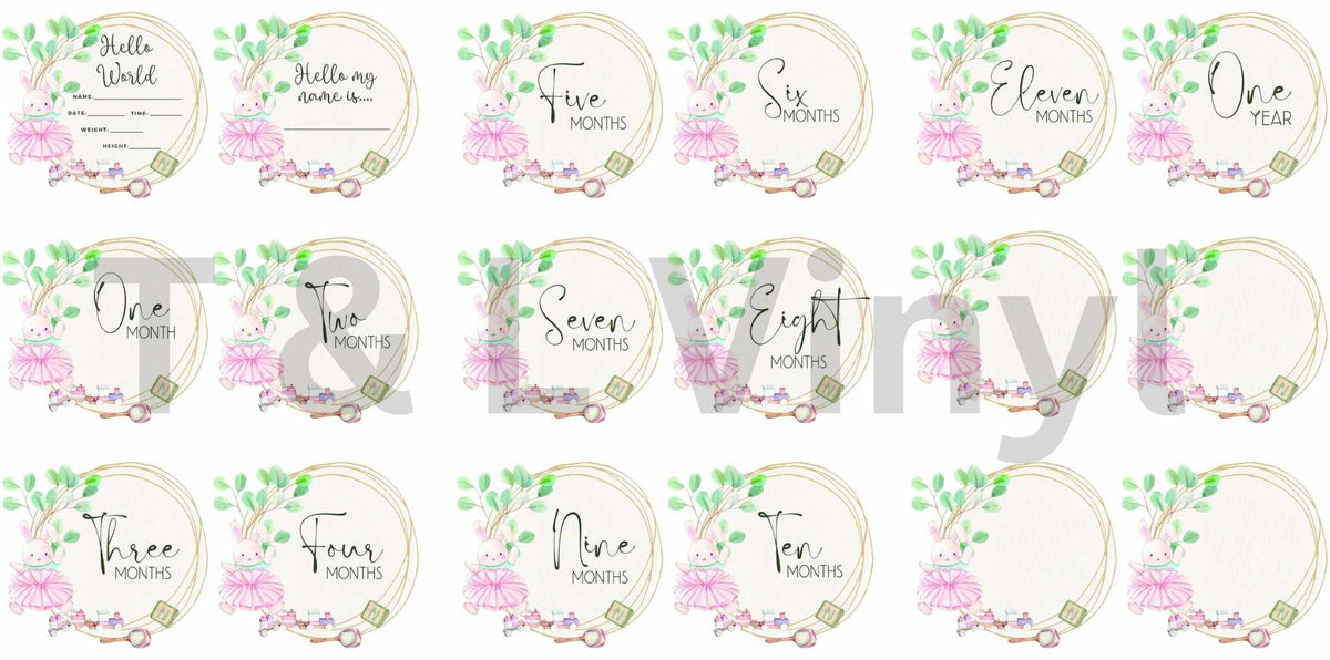 Bunny Milestone Sublimation Sheet 69 (Perfect for our acrylic Mileston ...